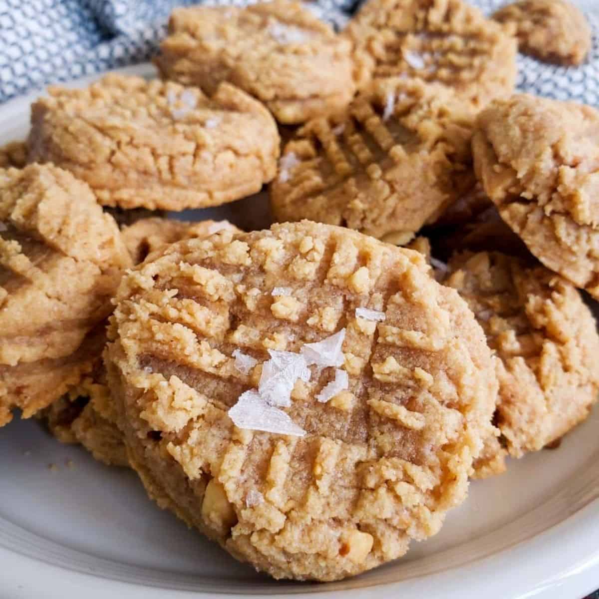 Vegan Peanut Butter Cookies - Sailor Bailey