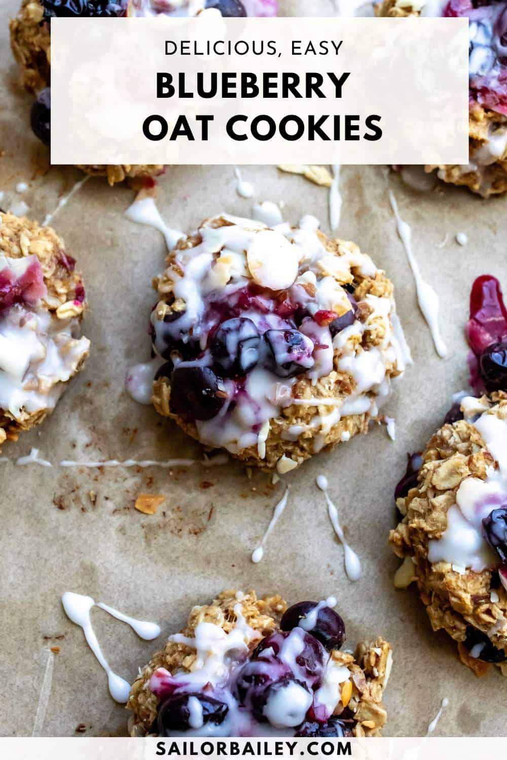 Blueberry Oat Cookies