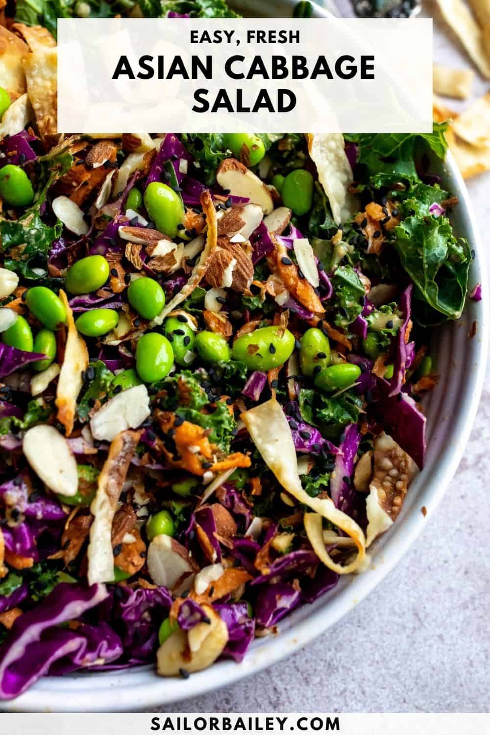 Asian Cabbage Salad Recipe Asian Cabbage Salad Recipe