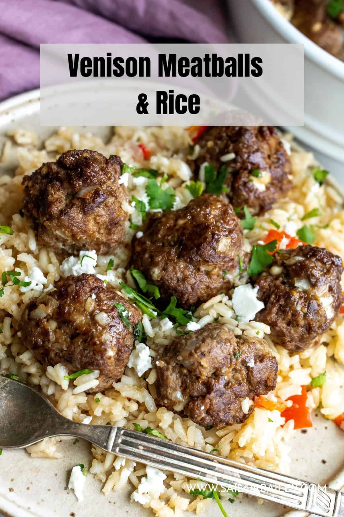 Meatballs and Rice