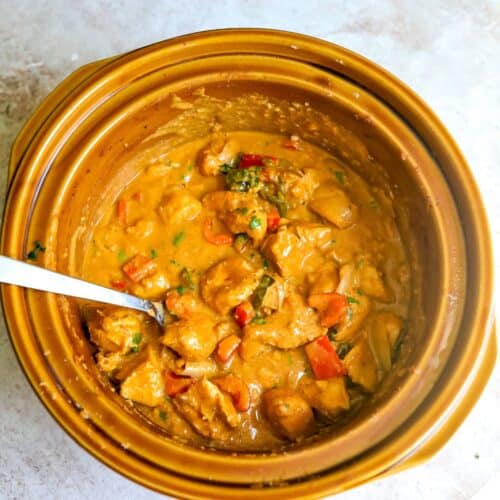 Slow Cooker Chicken Satay - Sailor Bailey