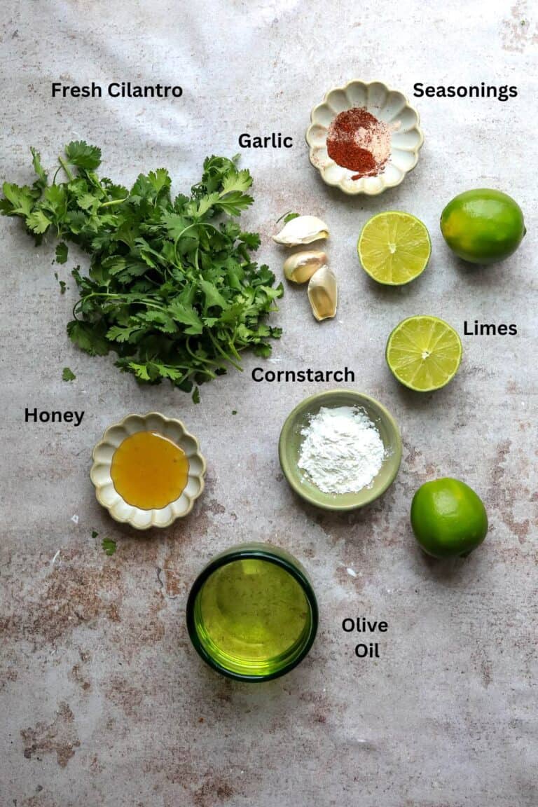 Cilantro and Lime Chicken Marinade - Sailor Bailey