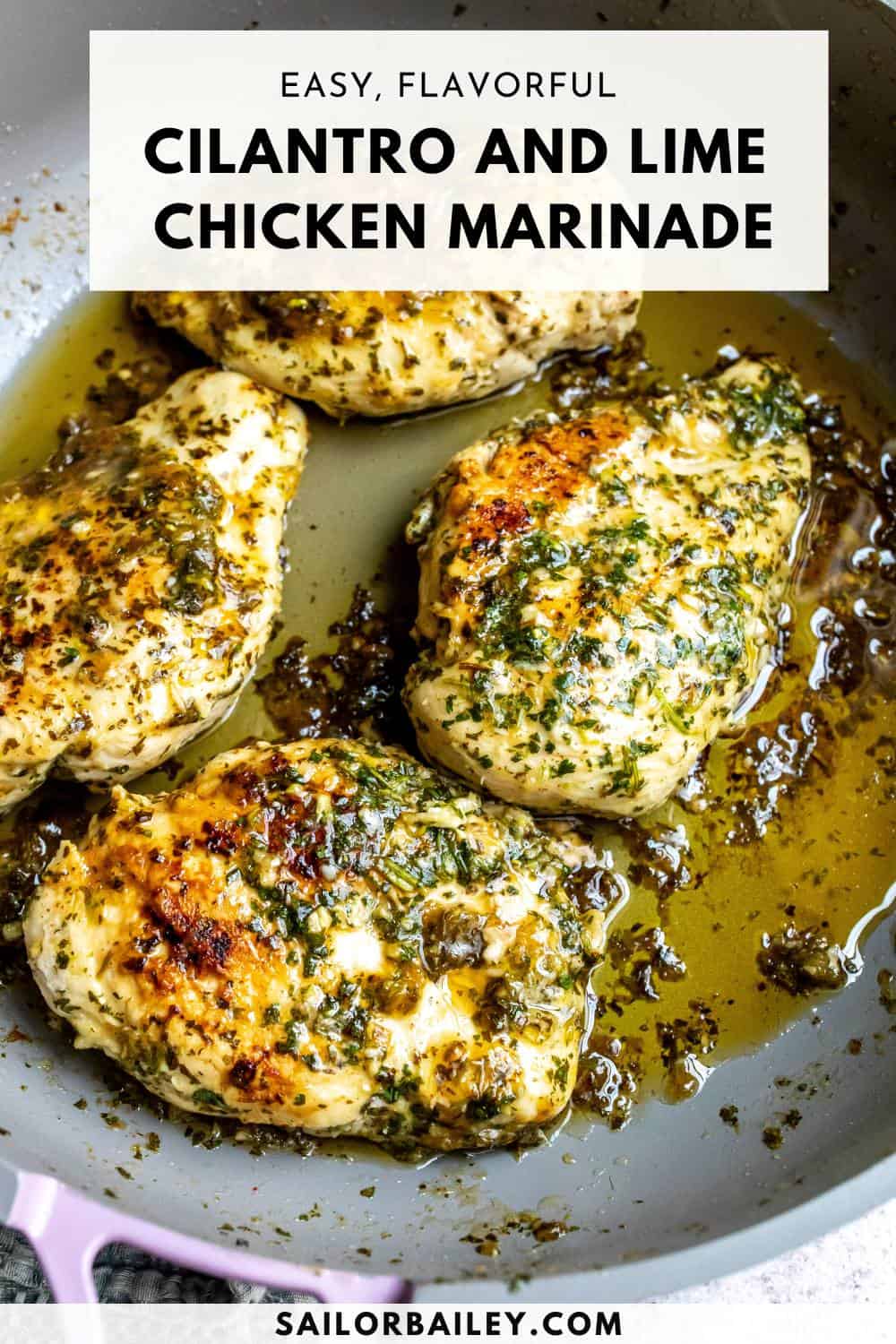 Cilantro and Lime Chicken Marinade - Sailor Bailey